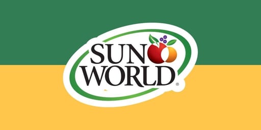ABOUT SUN WORLD